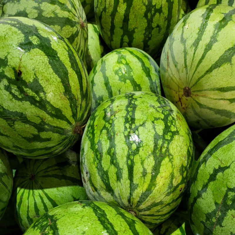 Comprar la mejor Sandia de temporada en Azulom.com