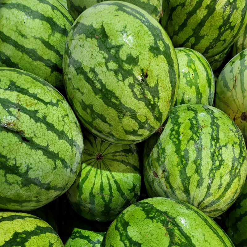 Comprar la mejor Sandia de temporada en Azulom.com